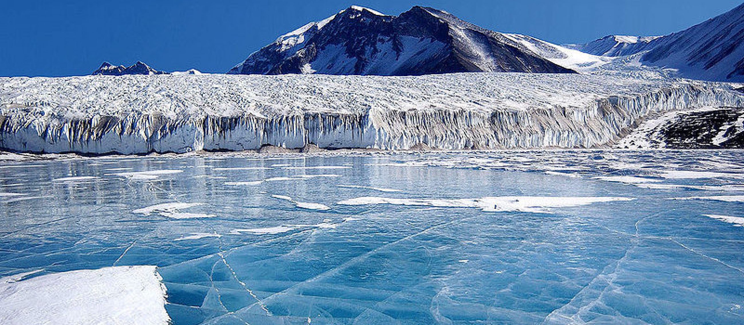 cropped-antarctic-ice-growing-800×350.jpg – SALSA